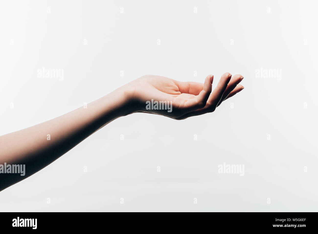 cropped shot of female hand with perfect skin isolated on white Stock ...