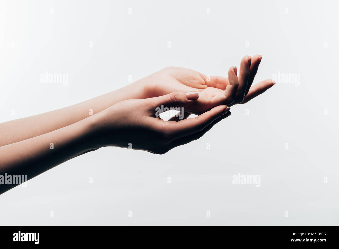 cropped shot of female hands with perfect skin isolated on white Stock ...