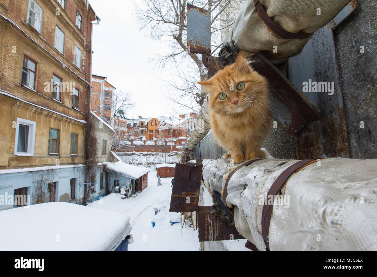 Russian Snow Cat