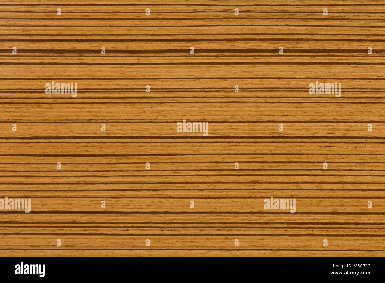 African Zebrano wood texture on macro. Extremely high resolution photo ...