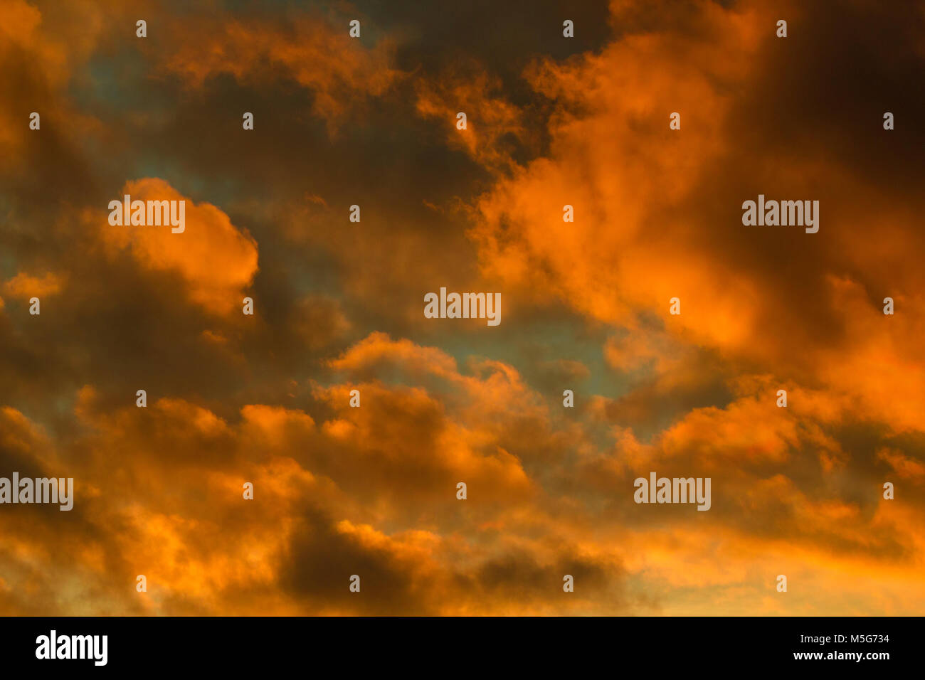 Deep orange sunset sky at winter Stock Photo - Alamy