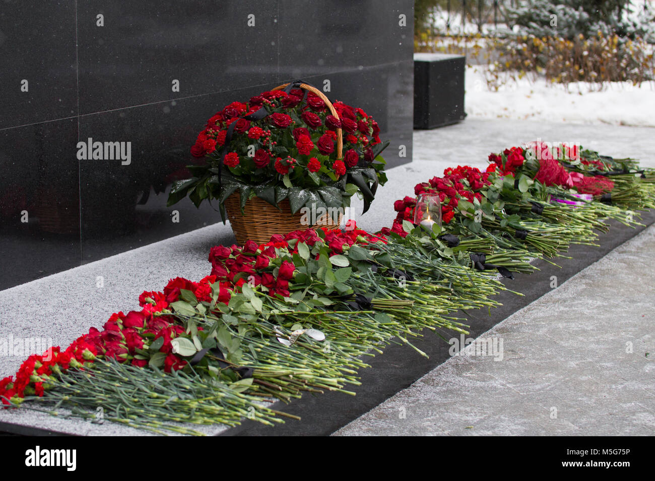 Carnation flowers symbol of mourning - red flower on the monument Stock ...