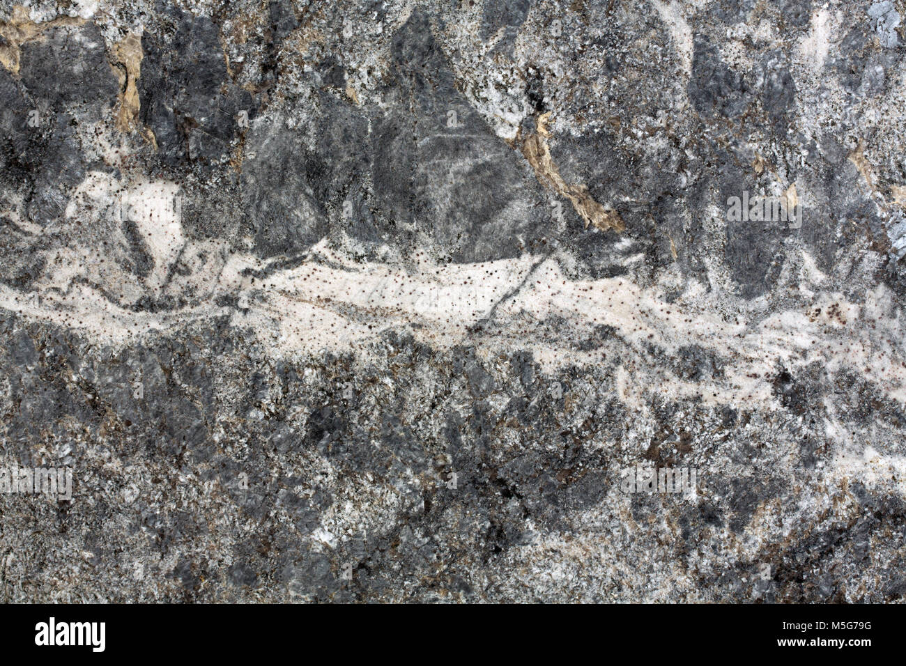 Grey texture of gray granite for your background. High resolution photo ...