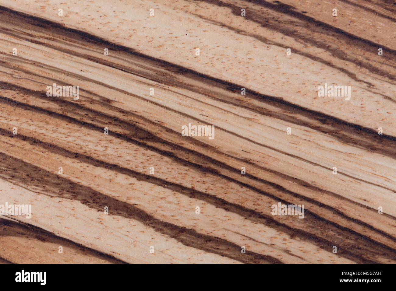 High quality African Zebrano wood texture. Hi res photo Stock Photo - Alamy