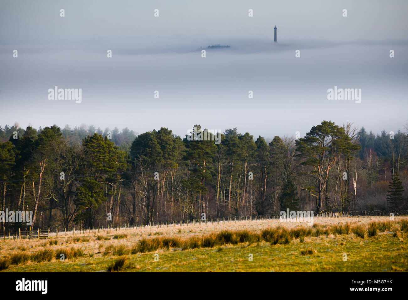 Rising above a winter mist the Waterloo Monument at Peniel Heugh, Nr ...