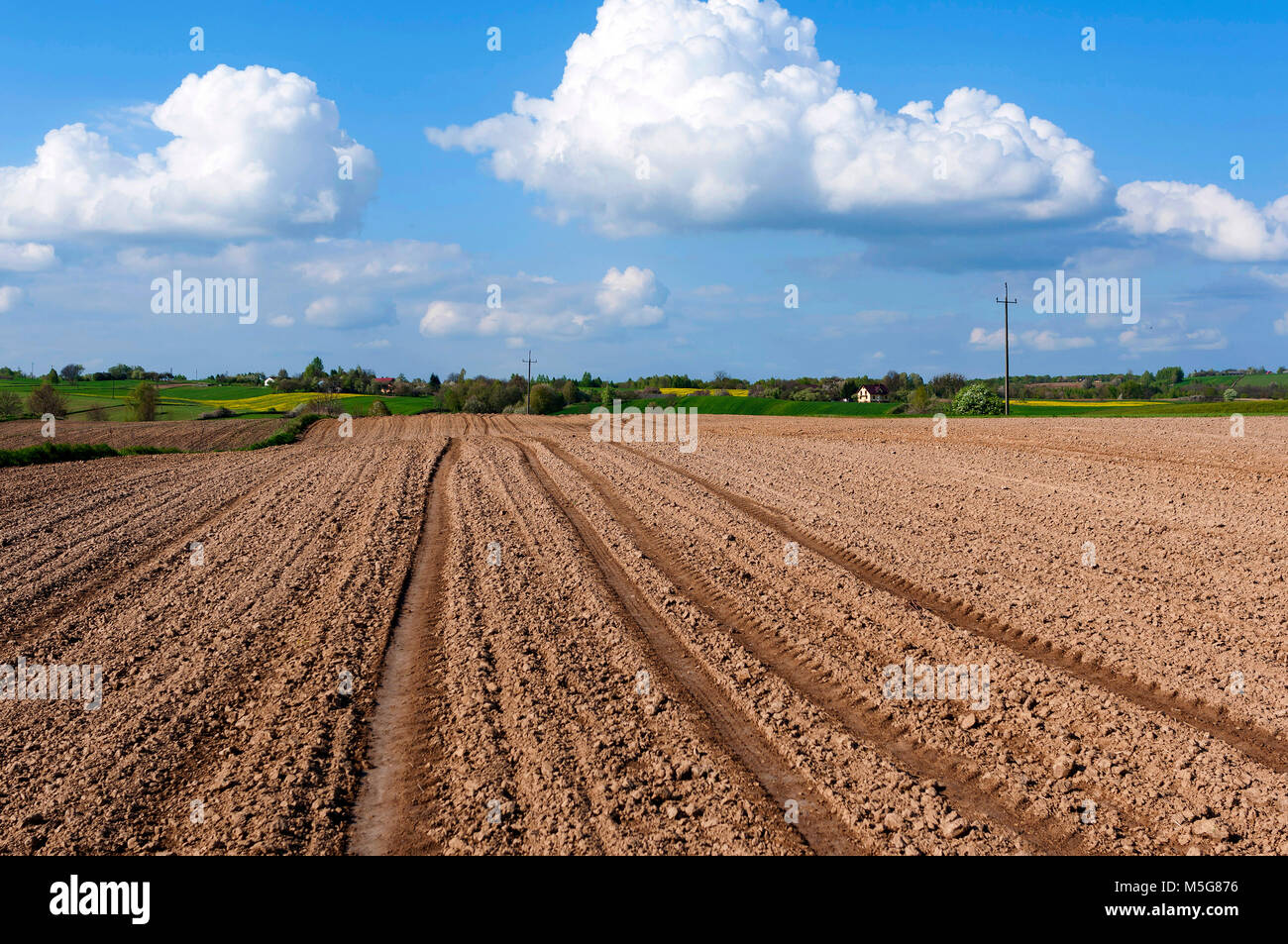 Beautiful landscape with plowed fields and rural road. Agriculture of ...