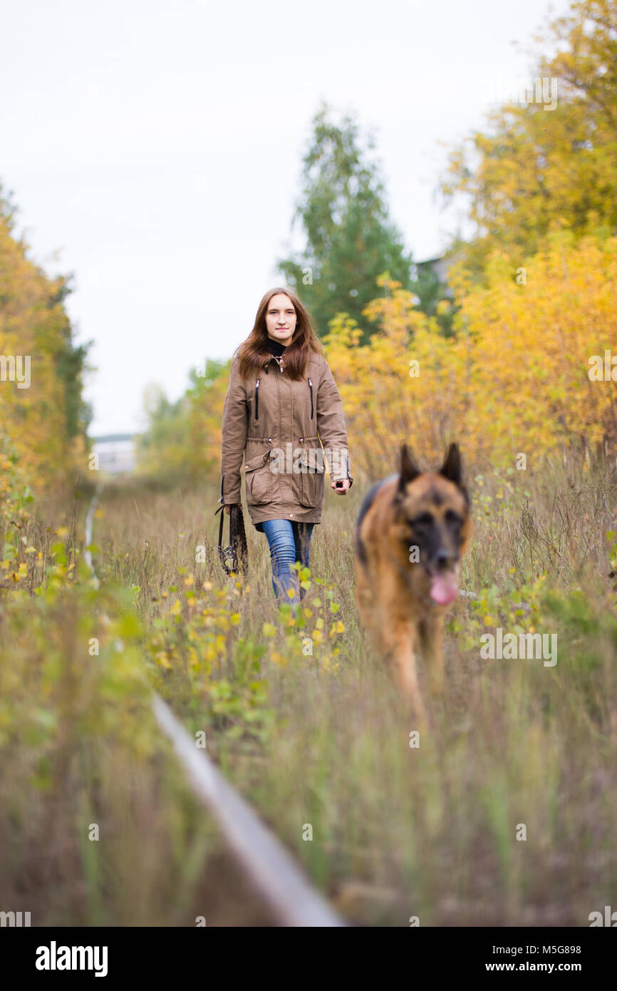 Attractive young woman walking with her dog German shepherd at autumn ...