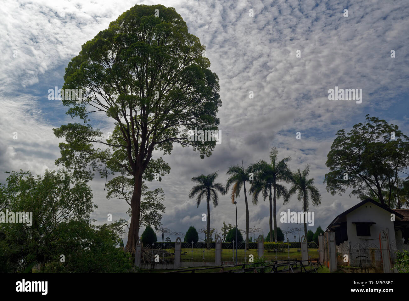 Cirrocumulus Cloud Formation High Resolution Stock Photography and ...