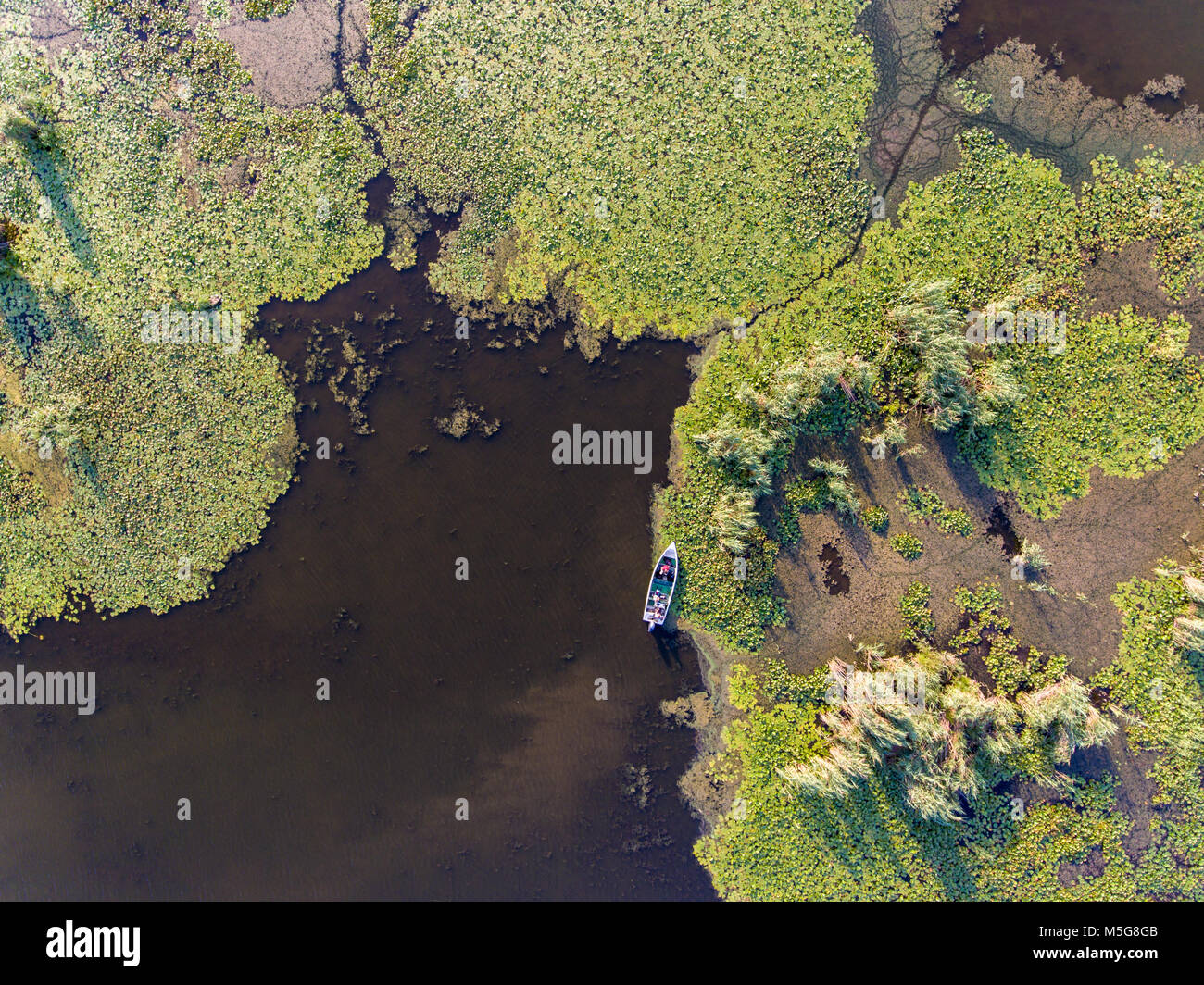 Danube Delta from above panoramic picture (Delta Dunarii) Romania Stock ...