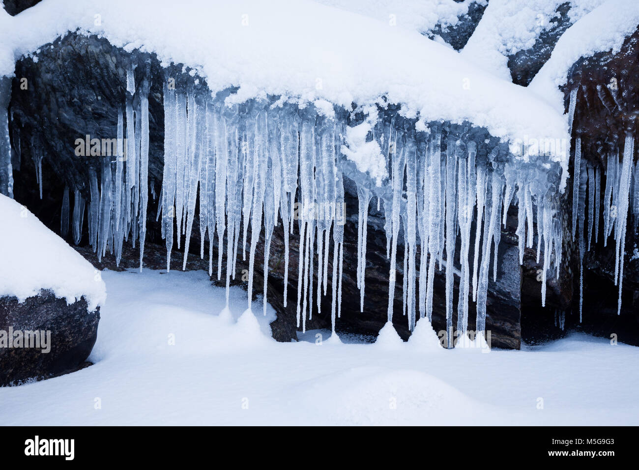 Row of frosty icicles in nature Stock Photo - Alamy