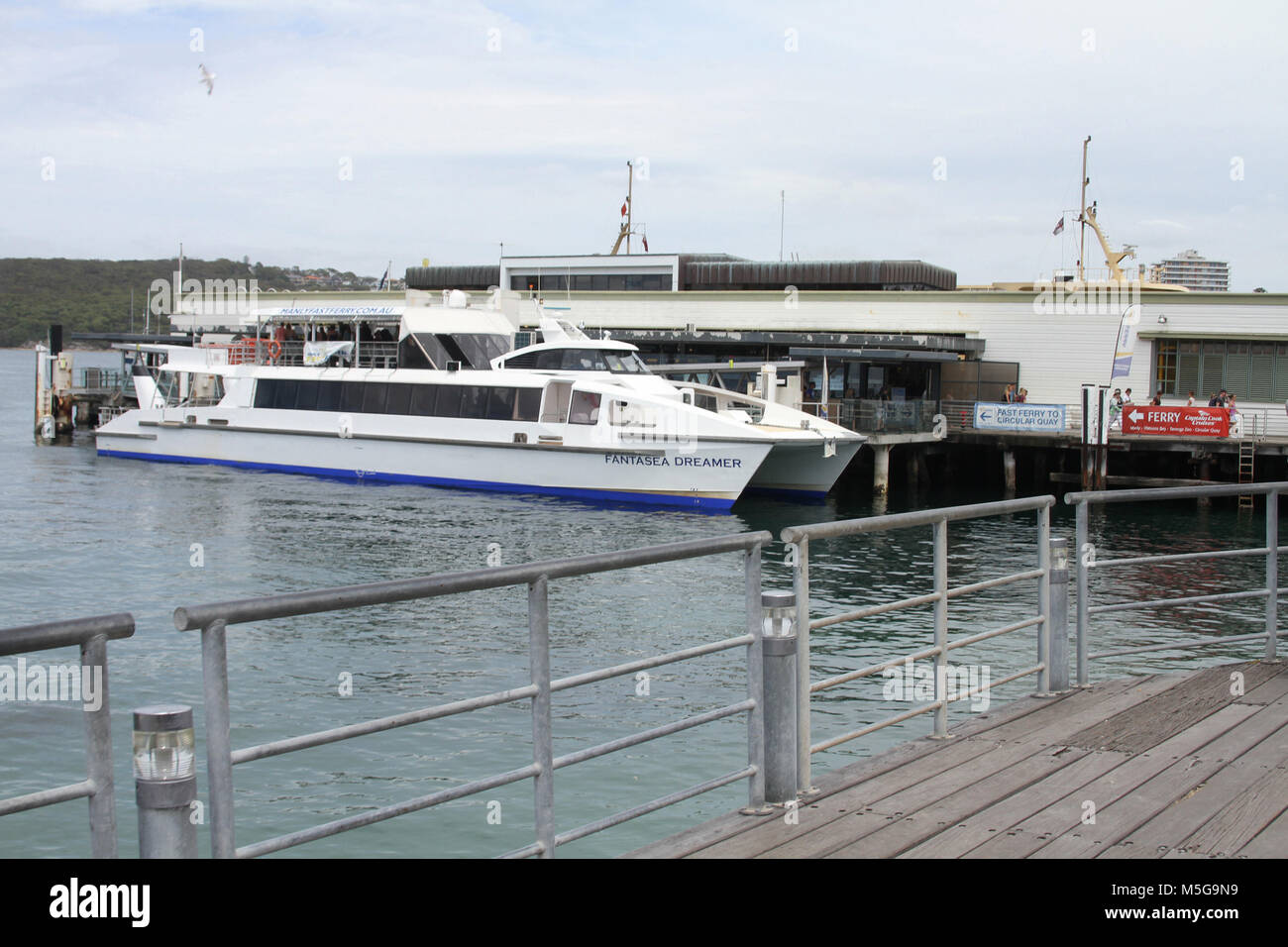Manly ferries sydney australia hi-res stock photography and images - Alamy
