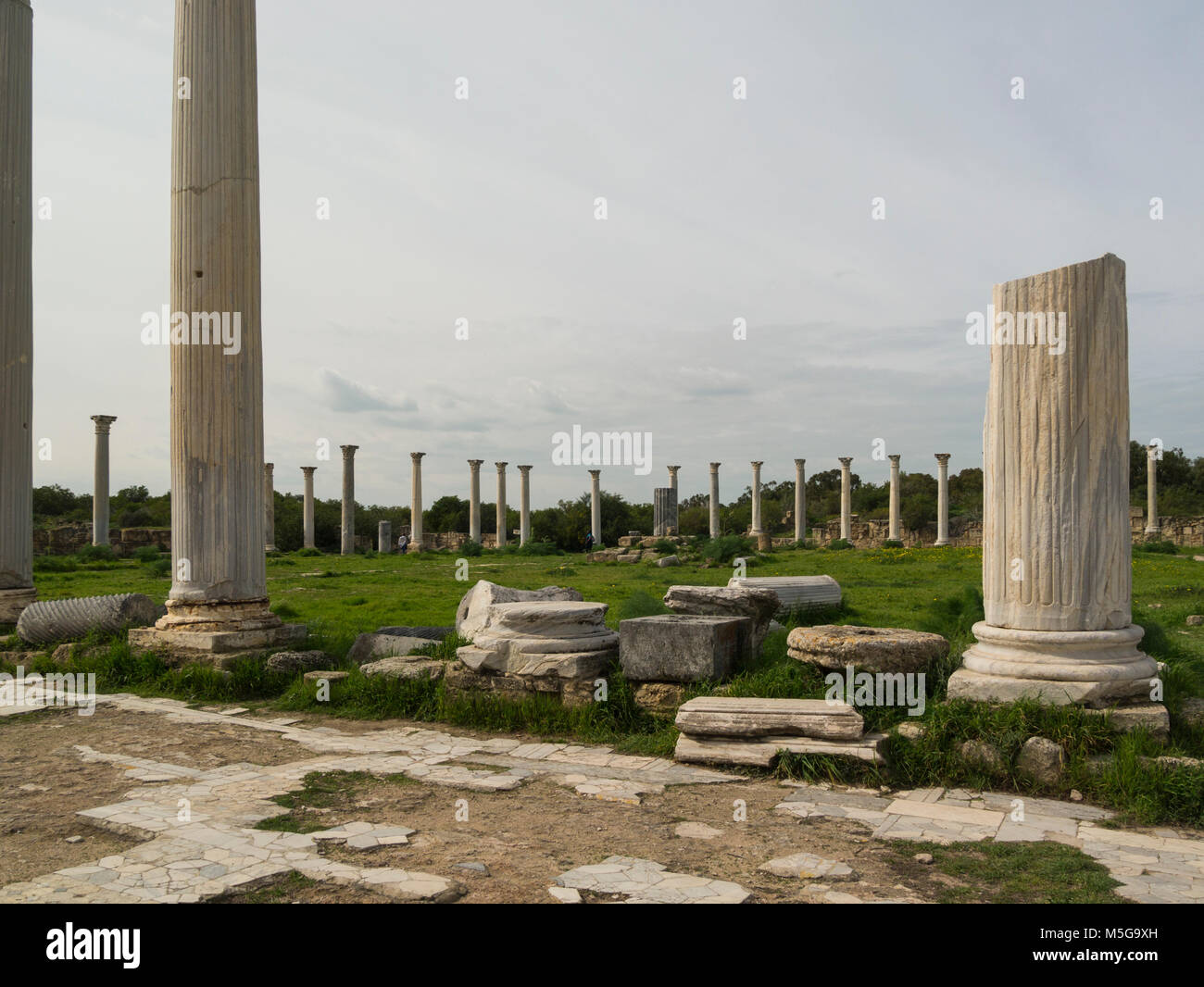 Roman palaestra hi-res stock photography and images - Alamy