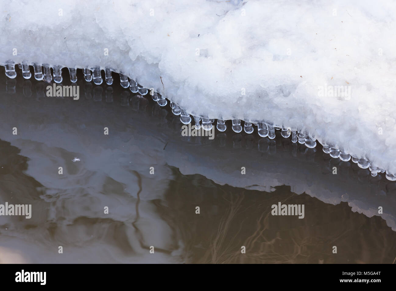 Small round icicles over water Stock Photo - Alamy