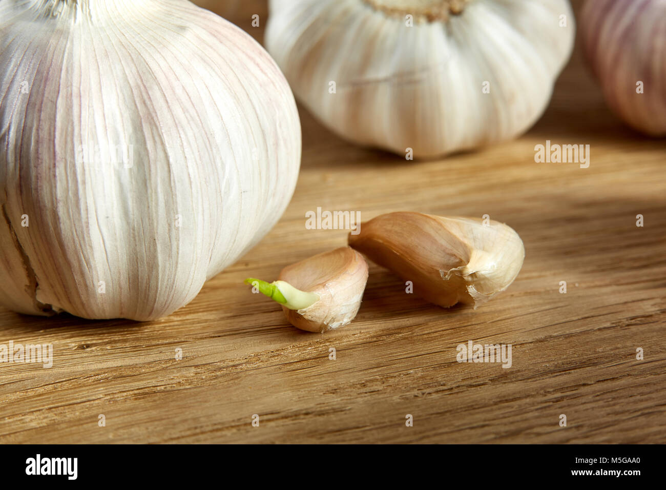 Garlic on rustic rough wooden background. Close-up, shallow depth of ...