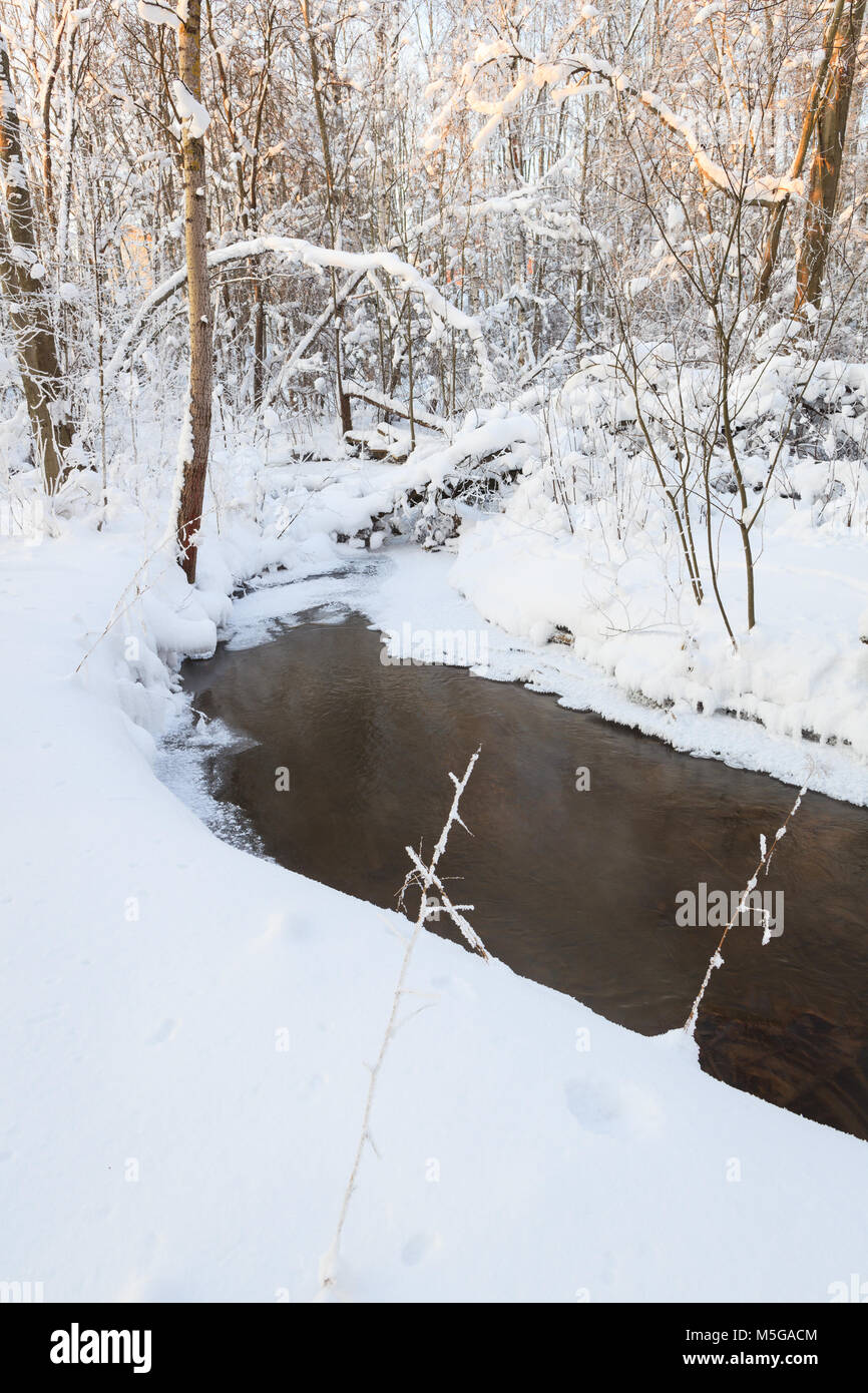Small stream in winter forest Stock Photo - Alamy