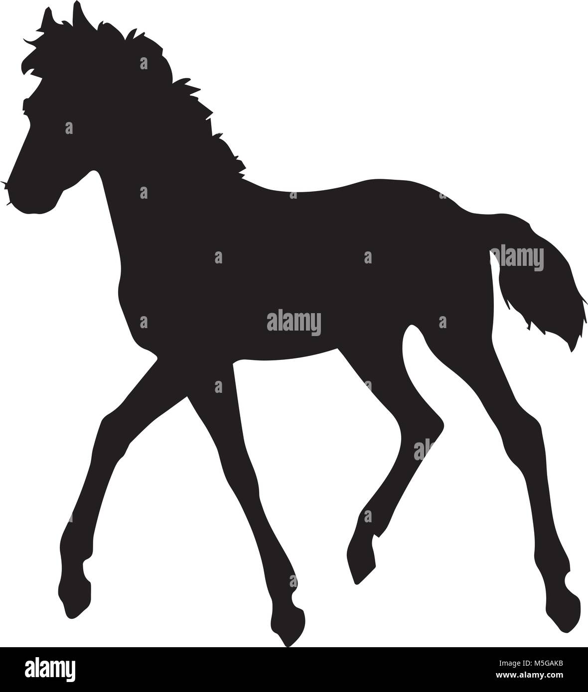 Beautiful white purebred horse Stock Vector Images - Alamy