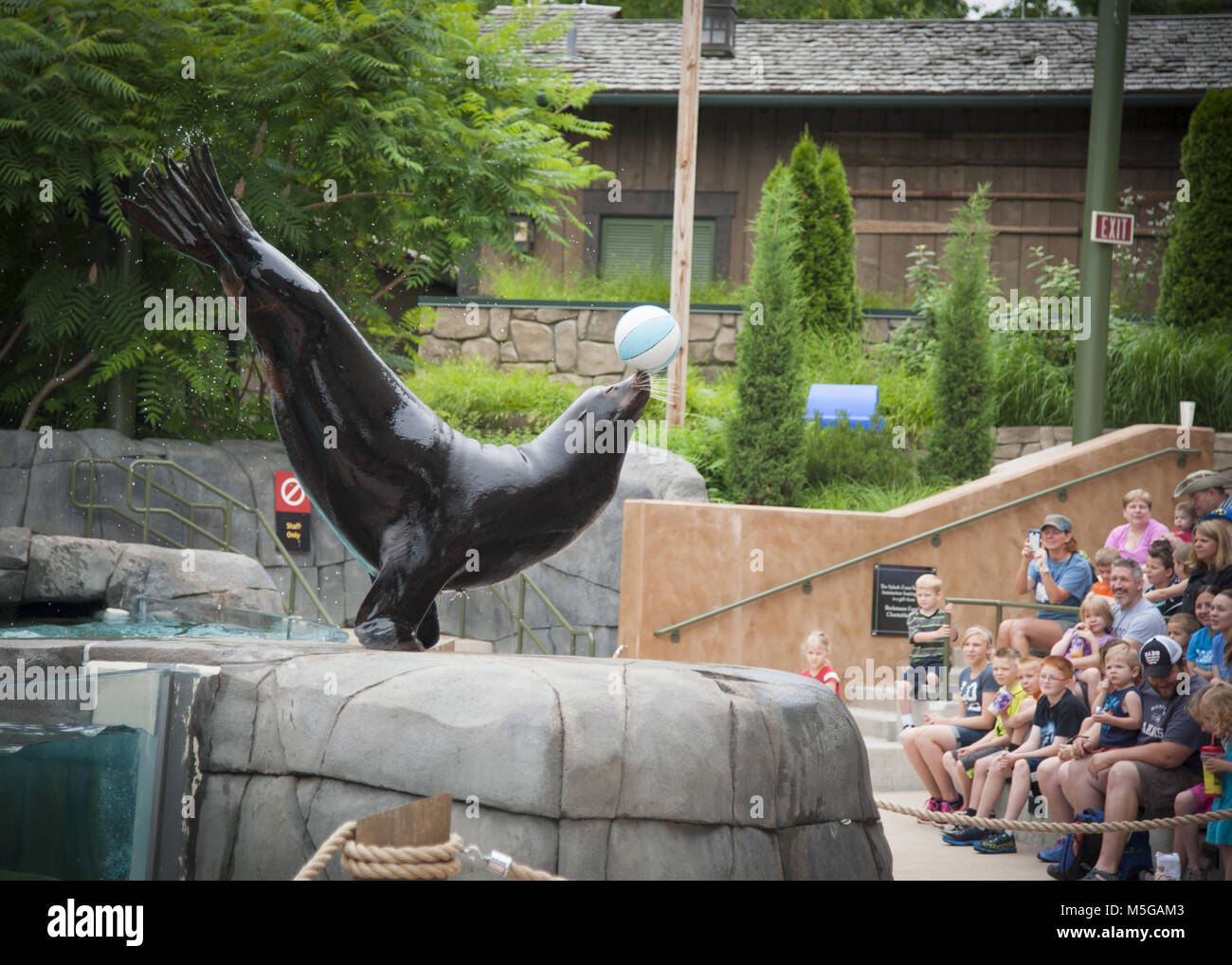 Saint Louis Zoo Stock Photo - Alamy