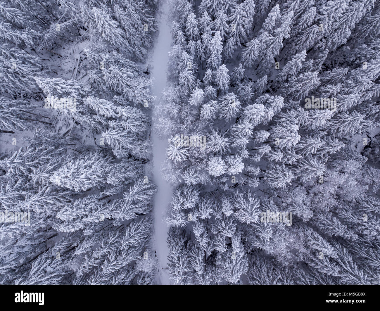 Aerial view heather trees hi-res stock photography and images - Alamy