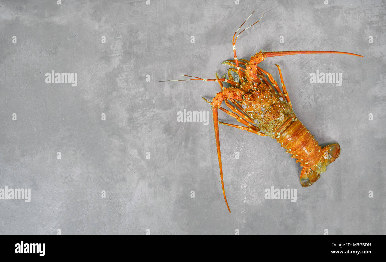 Top view of steamed lobster on cement background Stock Photo - Alamy