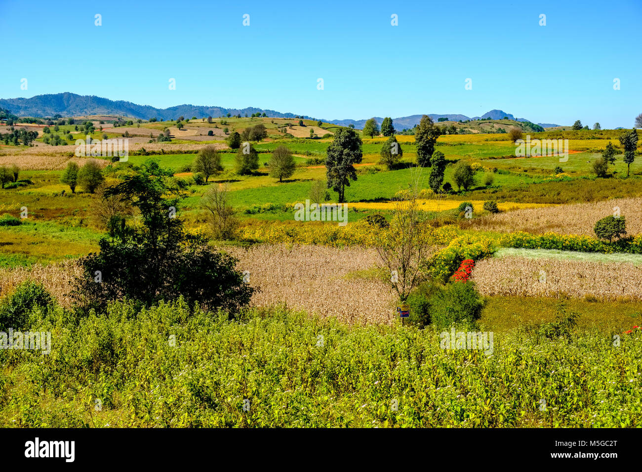 Tribal mountain hi-res stock photography and images - Alamy