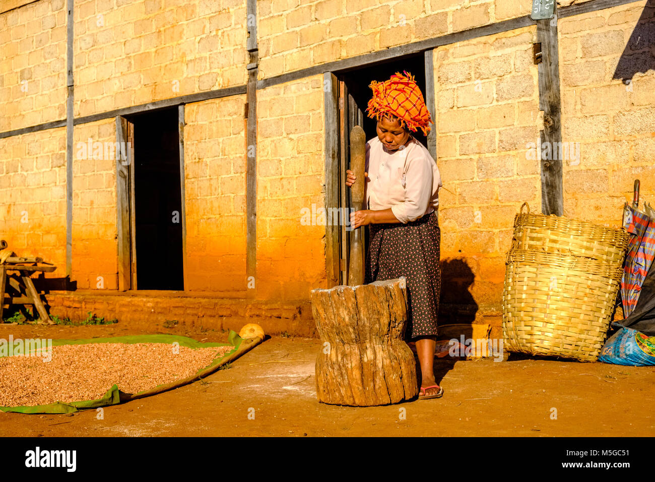 A farmers woman is stamping crops in a village in the hills of the ...
