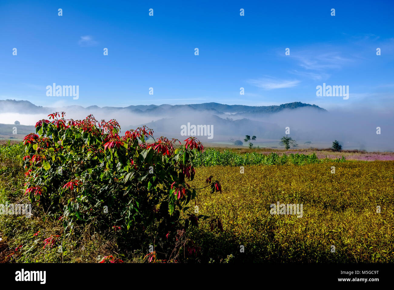 Myanmar burma kalaw mountain landscape hi-res stock photography and ...