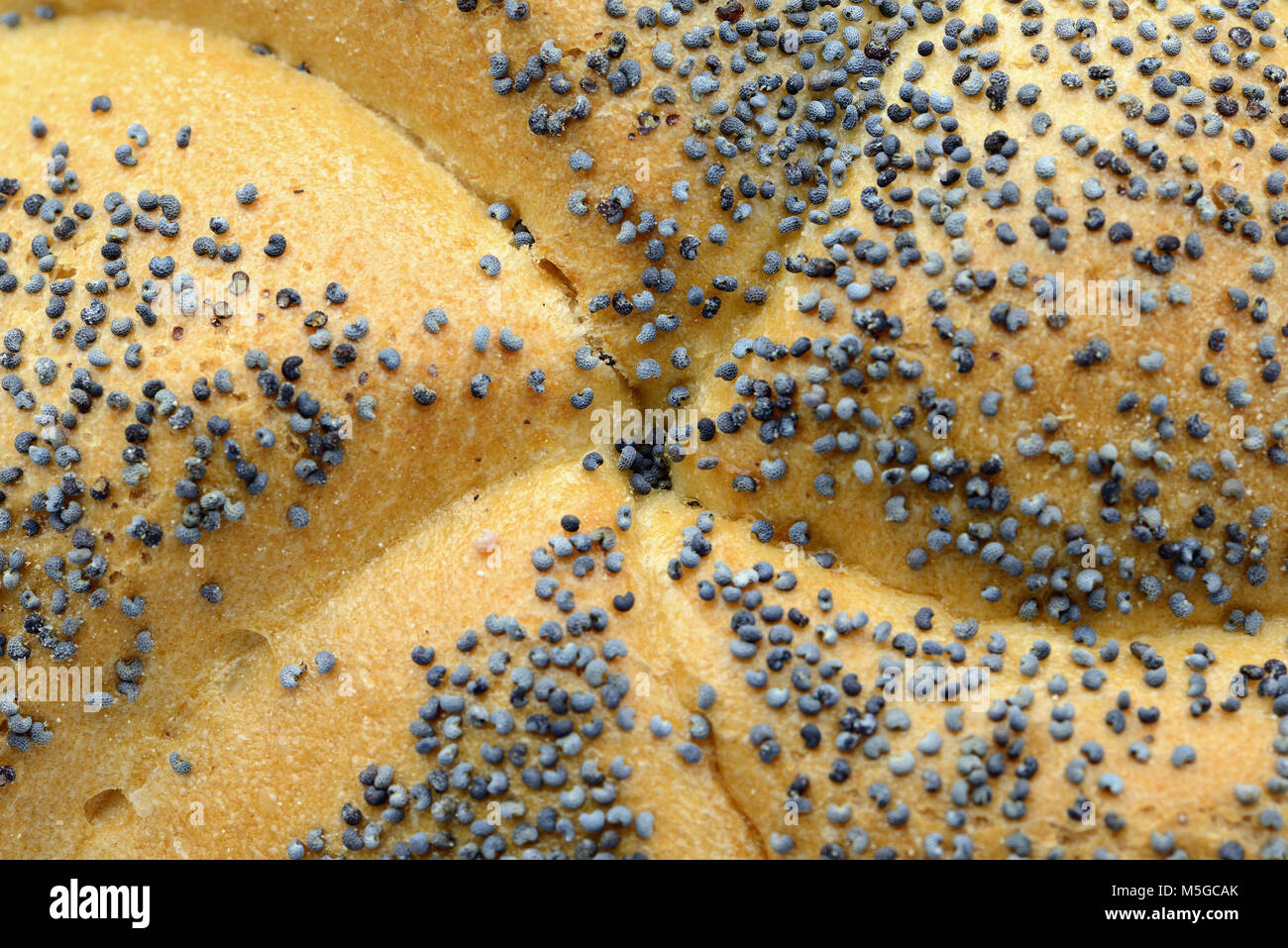 tasty poppy seed bread roll in close-up full frame Stock Photo - Alamy