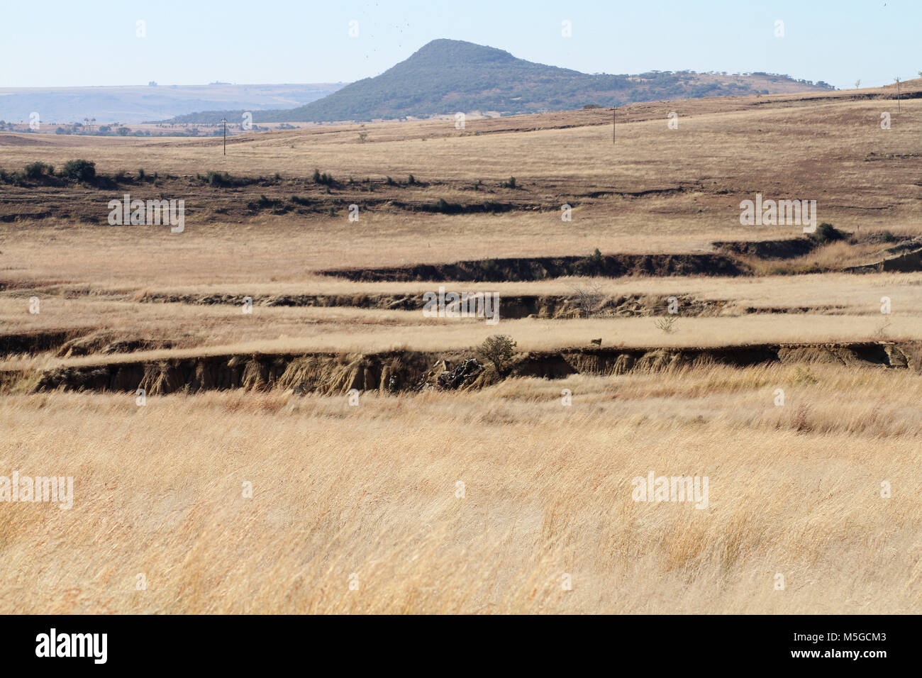 Dry Free State landscape with soil erosion, Free State, South Africa ...