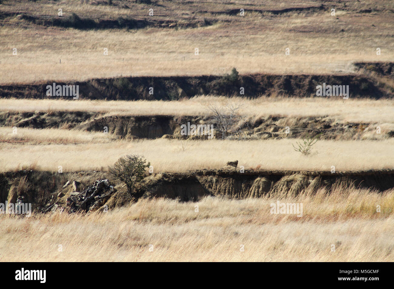 Gully erosion africa hi-res stock photography and images - Alamy
