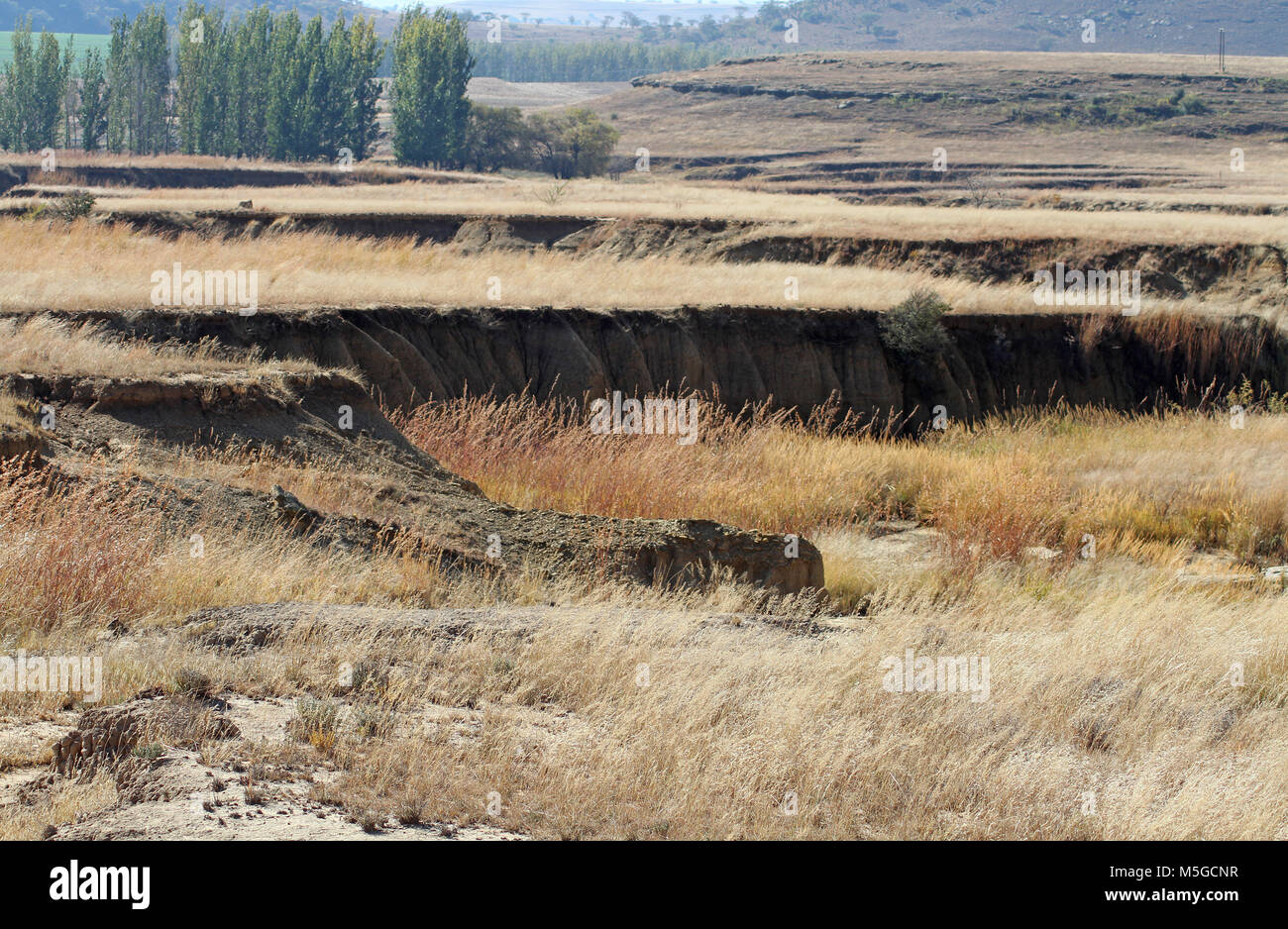 Dry Free State landscape with soil erosion, Free State, South Africa ...
