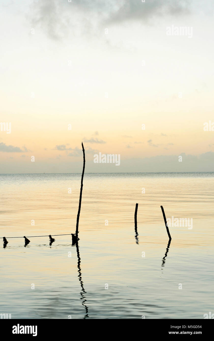 Lifuka island. Ha´apai islands. Tonga islands. Polynesia Stock Photo ...