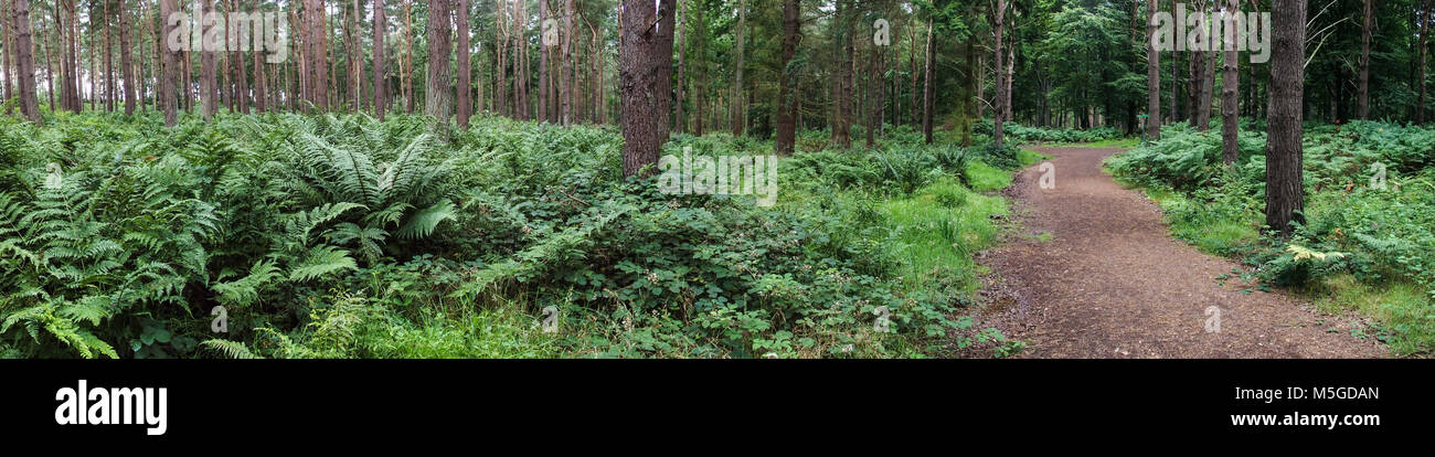 Binning wood hi-res stock photography and images - Alamy