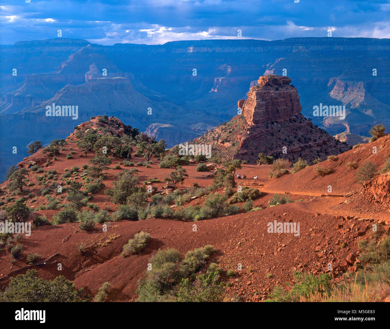 Three mile water conservation park hi-res stock photography and images ...