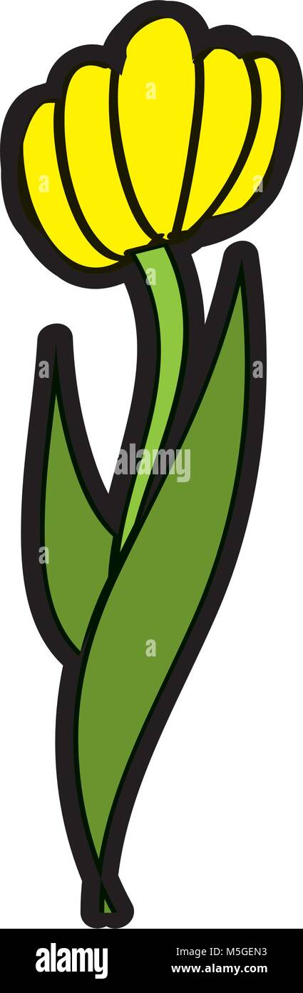 yellow flower natural botanical stem leaves icon Stock Vector Image ...