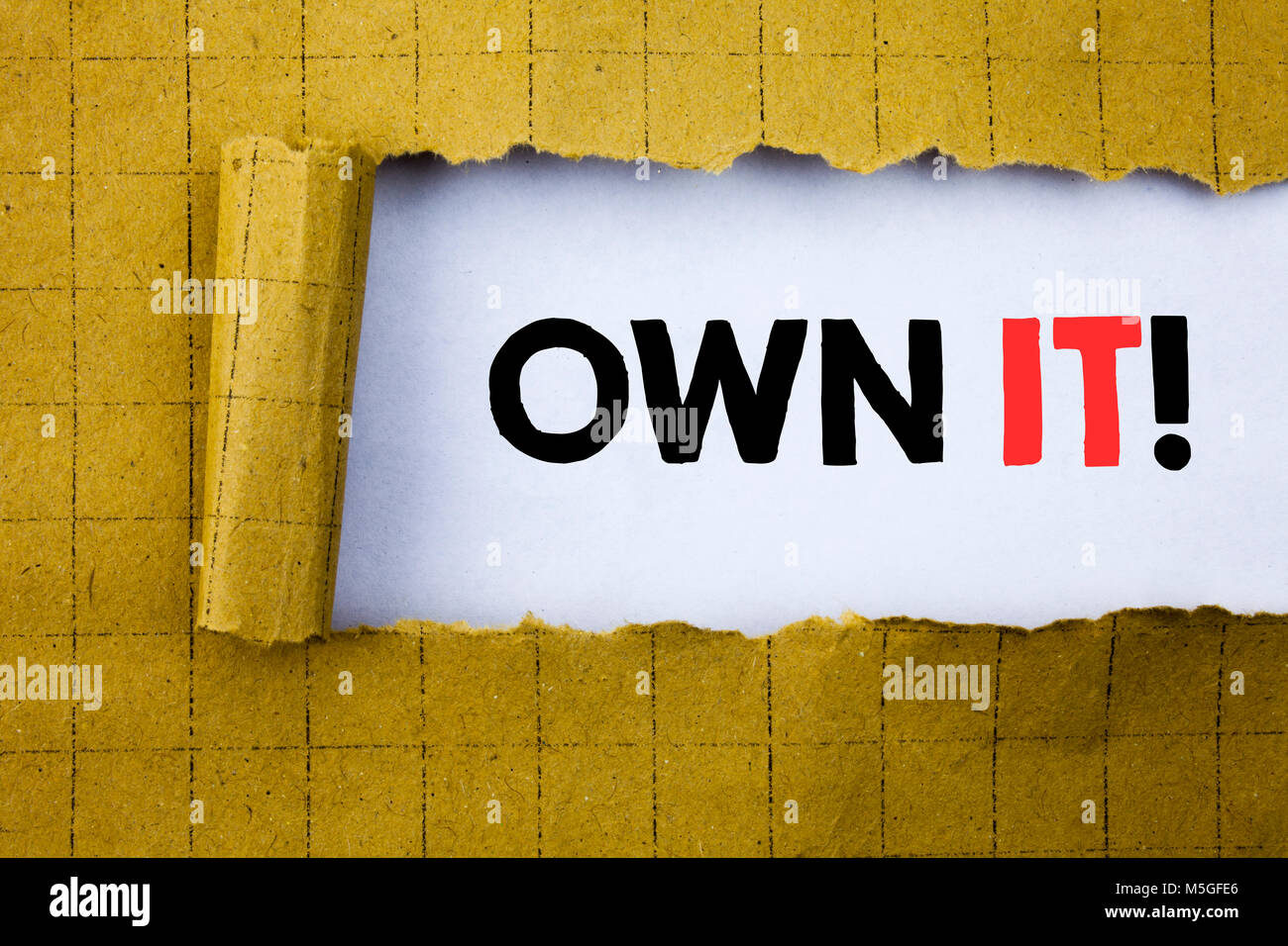 Own It Exclamation. Business concept for Ownership Control written on ...