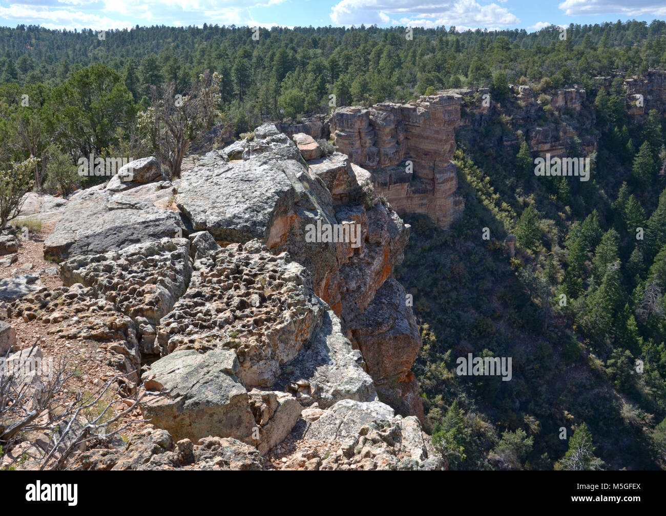 Grand Canyon National Park Kaibab Formation Kaibab Formation along the ...