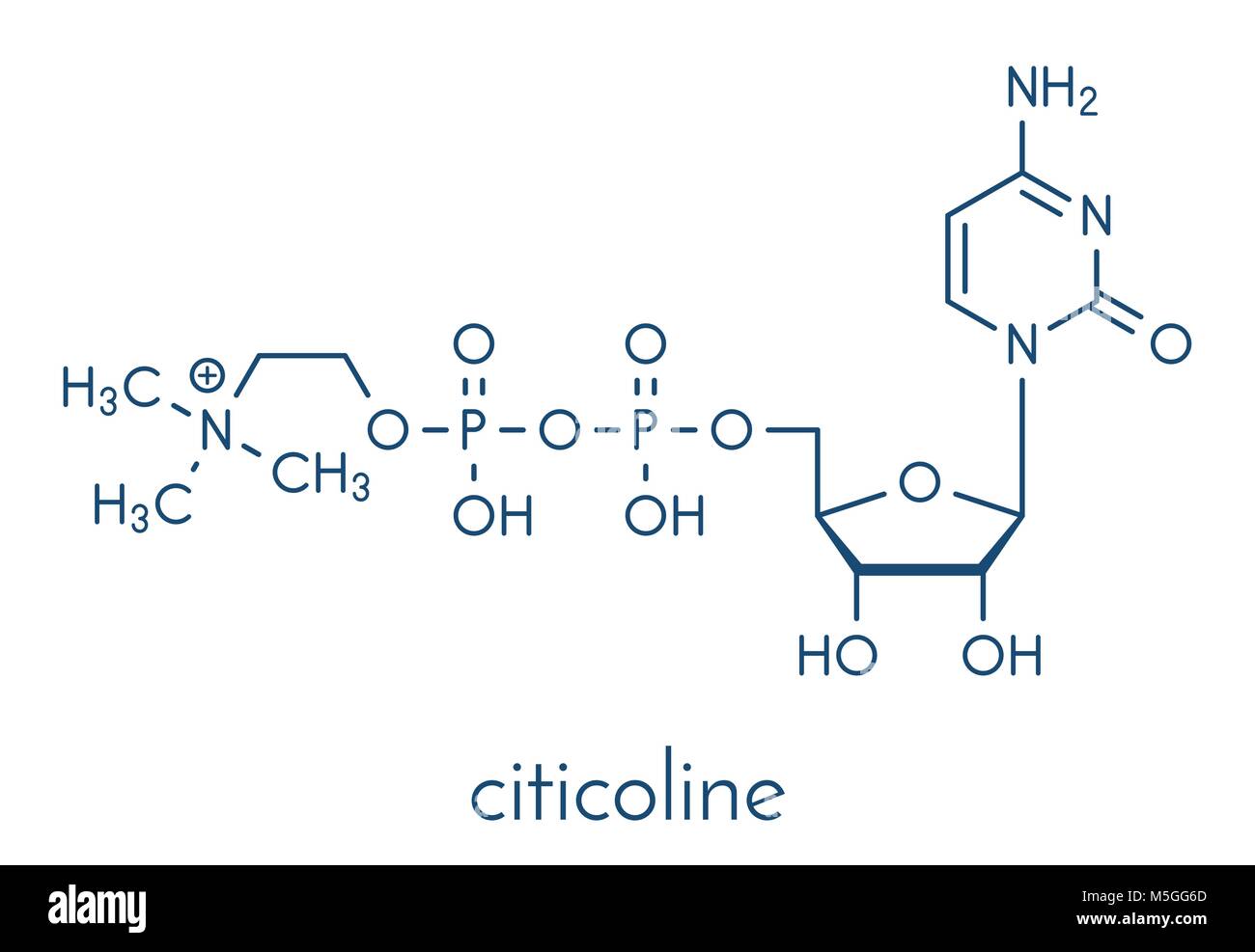 Citicoline (CDP-choline) molecule. Skeletal formula Stock Vector Image ...