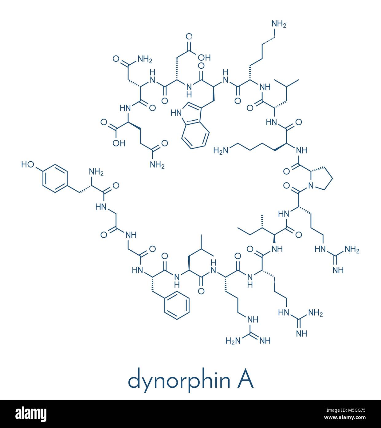 Dynorphin Stock Vector Images - Alamy