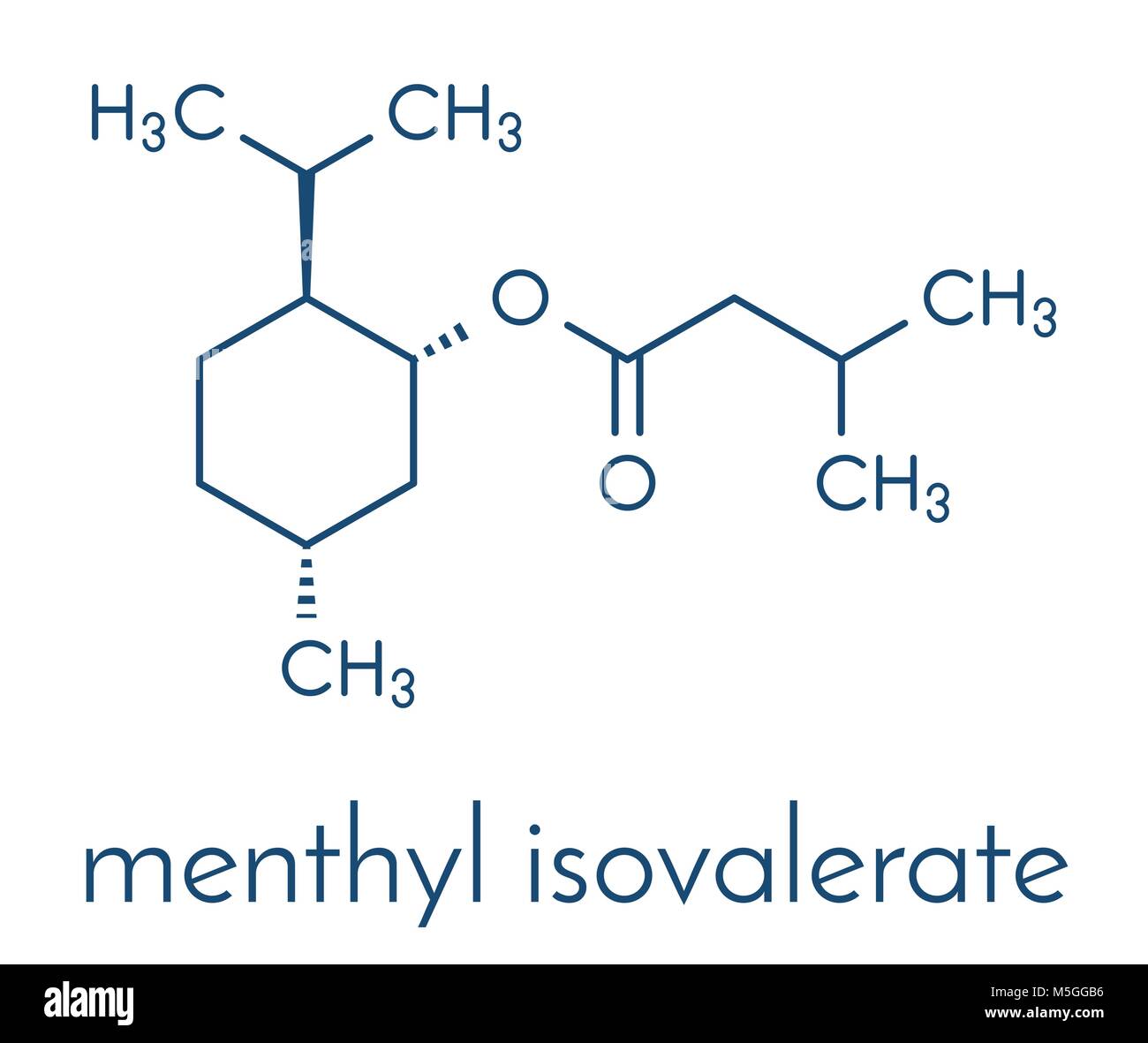 Menthyl isovalerate drug molecule. Skeletal formula Stock Vector Image ...