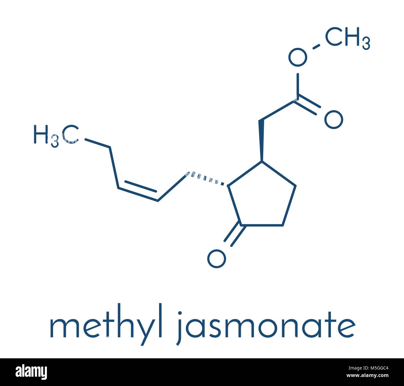 Methyl jasmonate plant stress signal molecule. Skeletal formula Stock ...