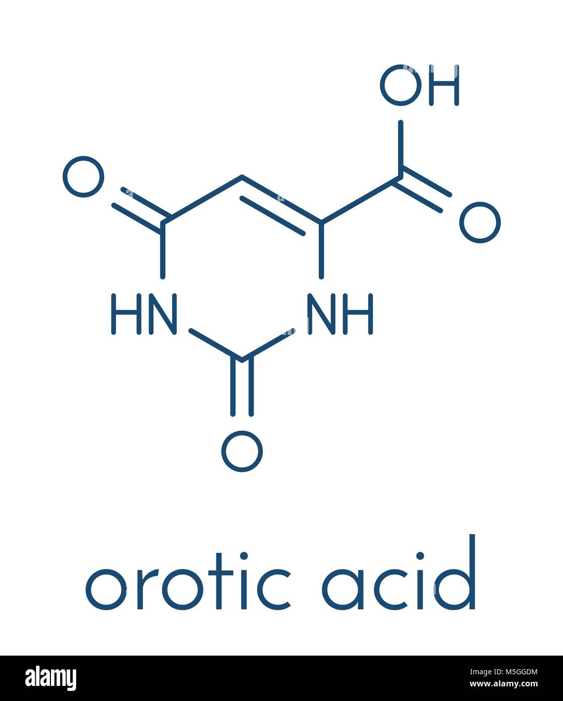 Pyrimidine Synthesis Orotic Acid
