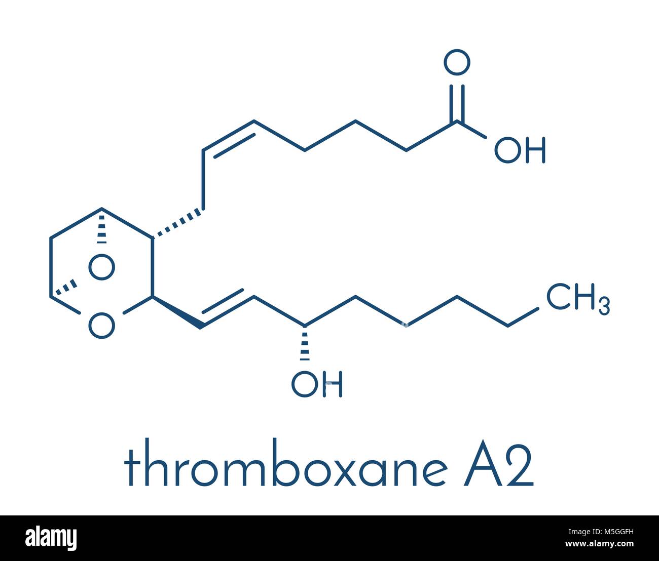 Thromboxane A2 (TXA2) molecule. Skeletal formula Stock Vector Image ...