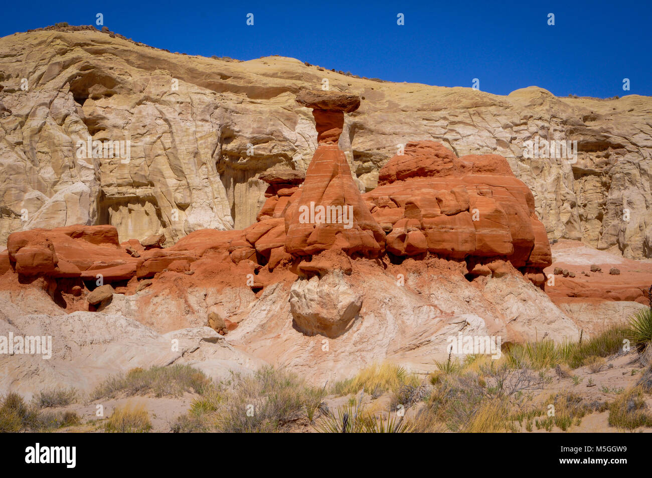 Toadstool Hoodoos in Paria Rimrock Park Stock Photo - Alamy
