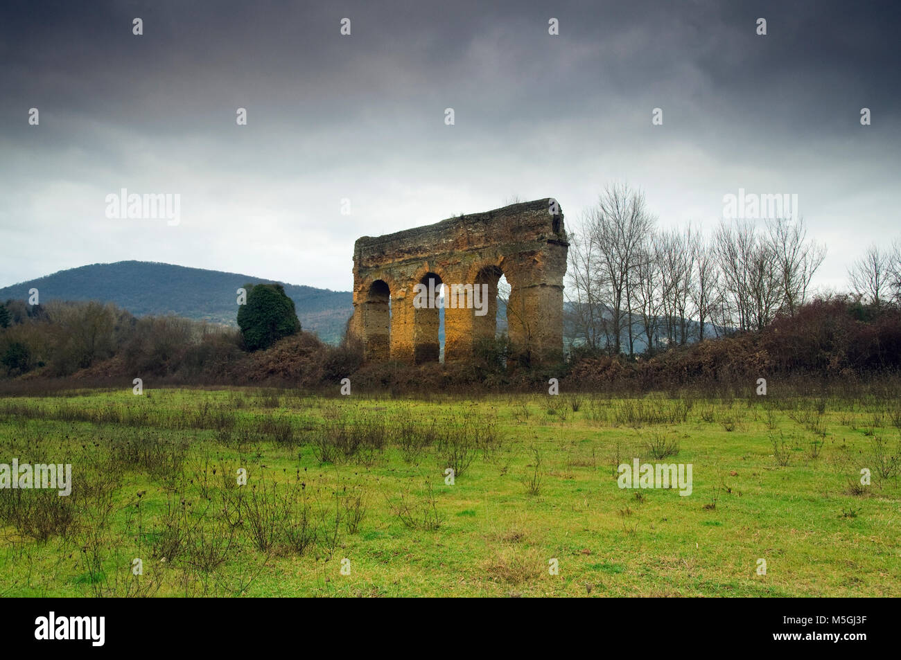 Anio novus hi-res stock photography and images - Alamy