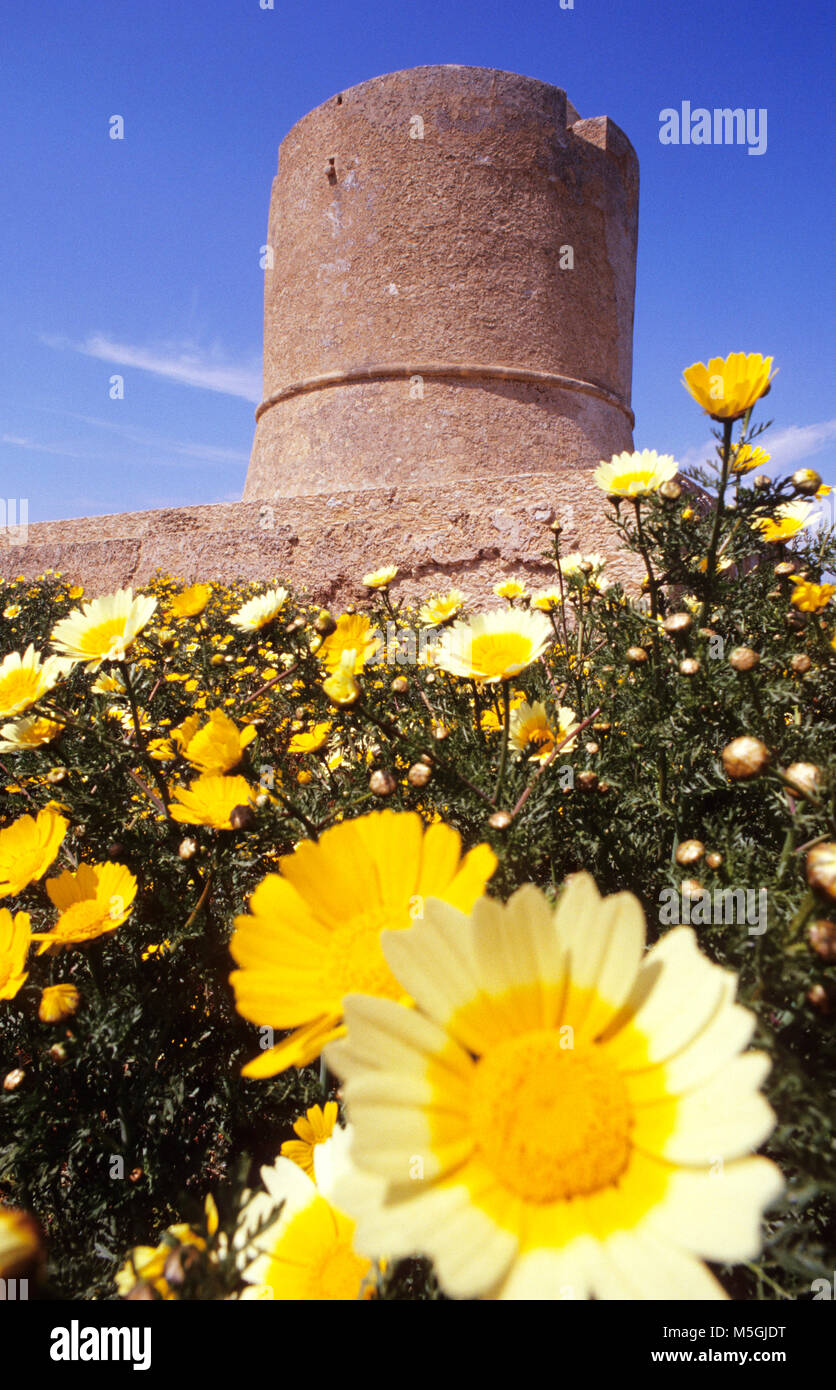 italy, calabria, isola di capo rizzuto, tower Stock Photo - Alamy