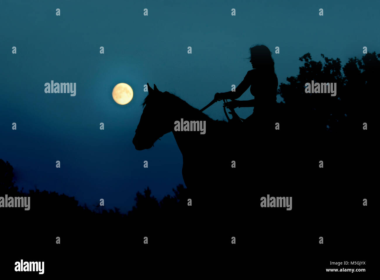 Full moon with silhouette of the horse rider on sky, concept in Fantasy ...