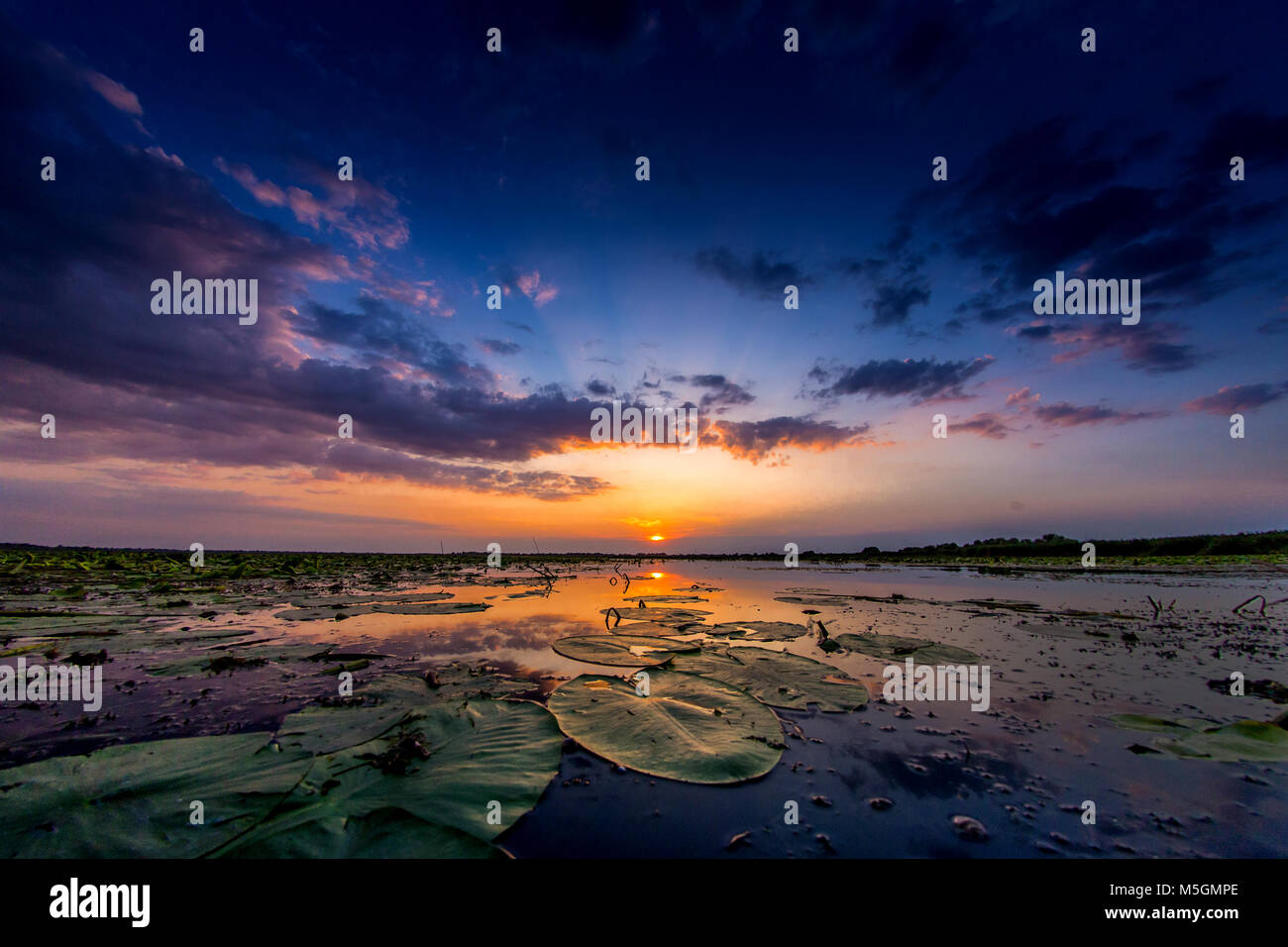 Sunset from Danube Delta, Romania Stock Photo - Alamy