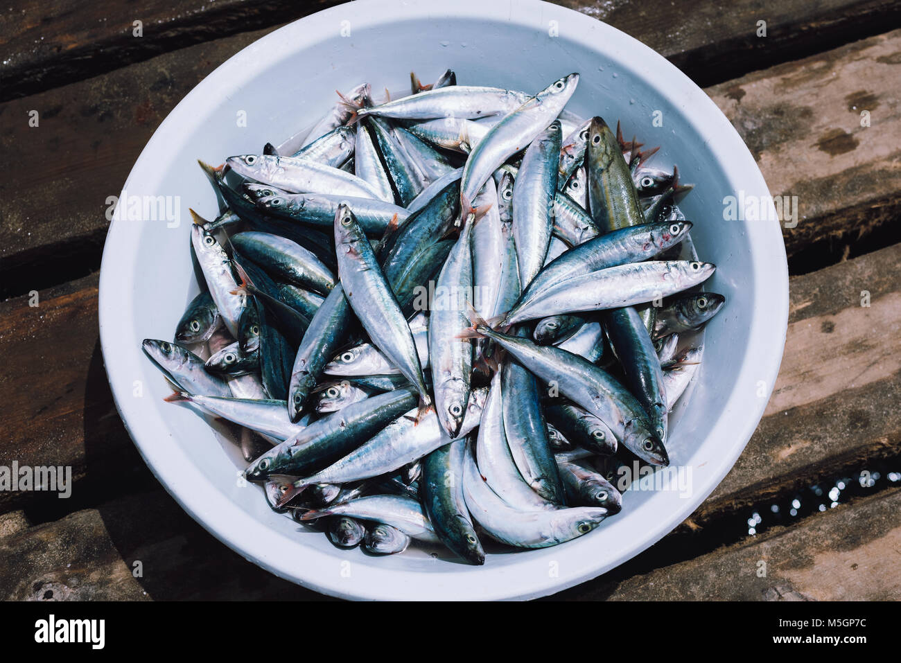Fresh fish catch Stock Photo - Alamy