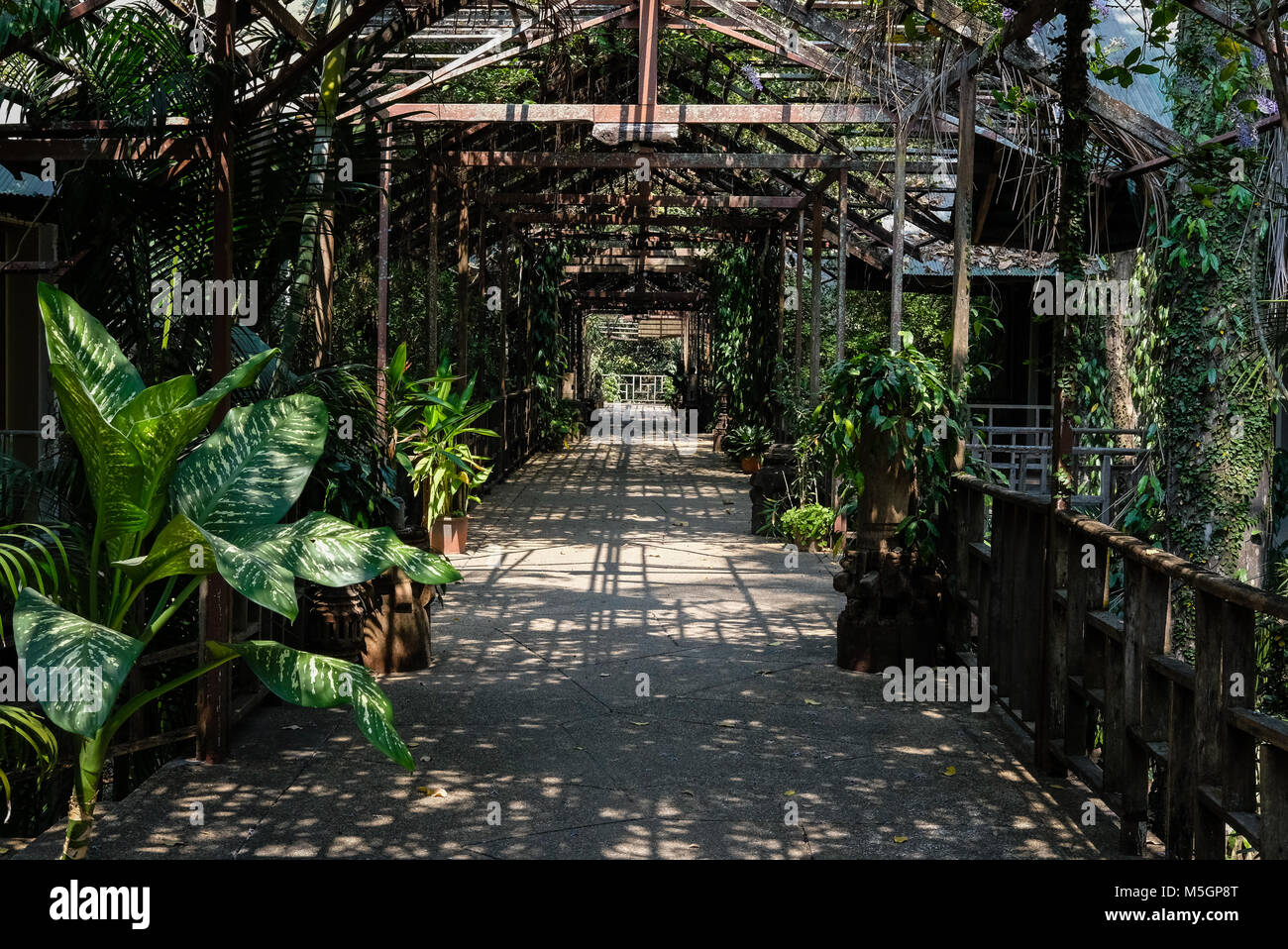 perspective view of walkway in park. pathway in building near garden ...