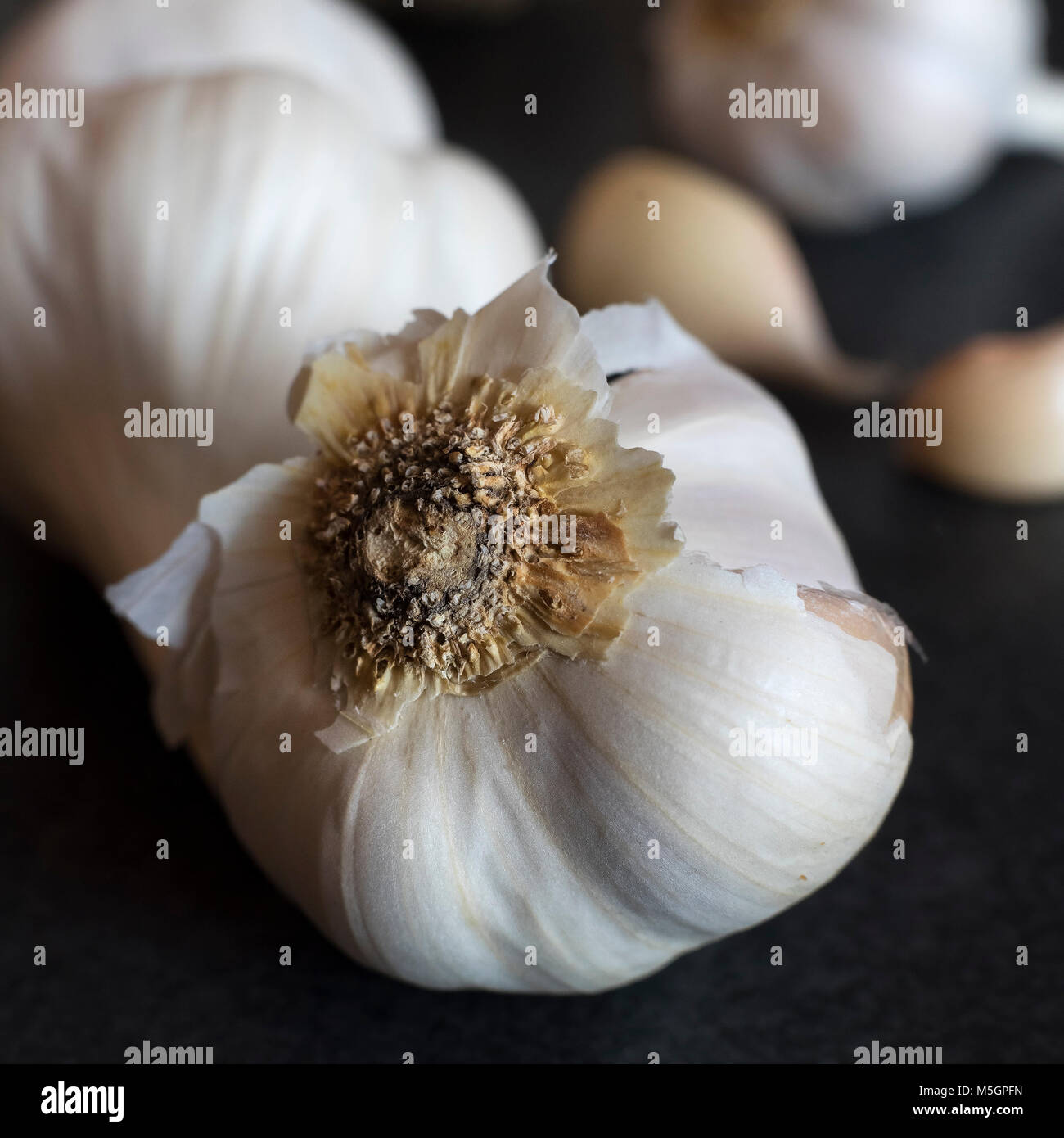 How to cook garlic hi-res stock photography and images - Alamy